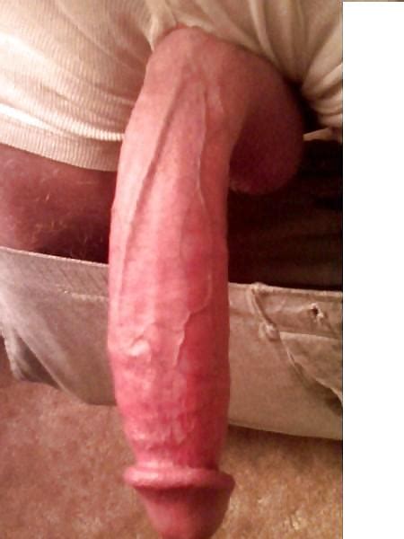 Do I Measure Up Porn Pictures Xxx Photos Sex Images 68637 Pictoa