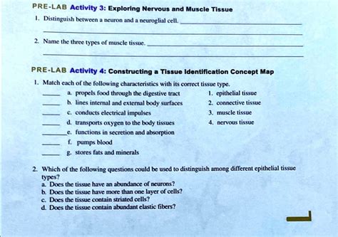 solved pre lab activity 3 exploring nervous and muscle tissue