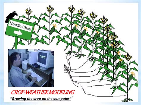 Crop Modeling Types Of Crop Growth Models In Agriculture Pptx