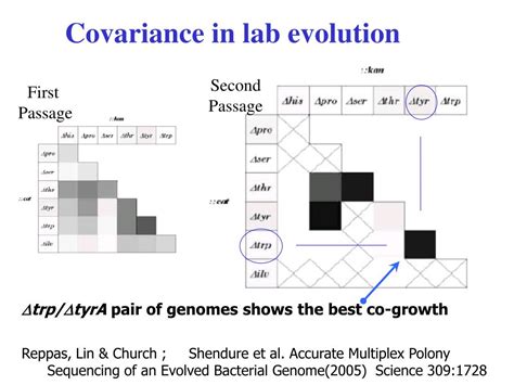 Ppt Covariance In Rna Powerpoint Presentation Free Download Id 5836852