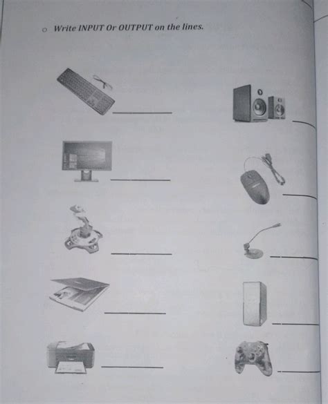 Input And Output Devices Identification Studyx