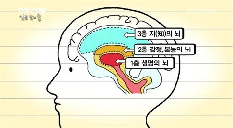 행복한 7살 숲유치원을 만나다 네이버 블로그