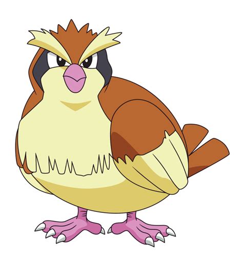 Pidgey Artwork Graphics Visuals Free Png