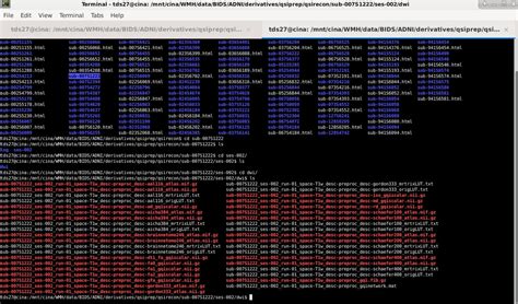 QSIprep Reconstruction Want To Make Sure Output Files Are Correctly Reconstructed Software