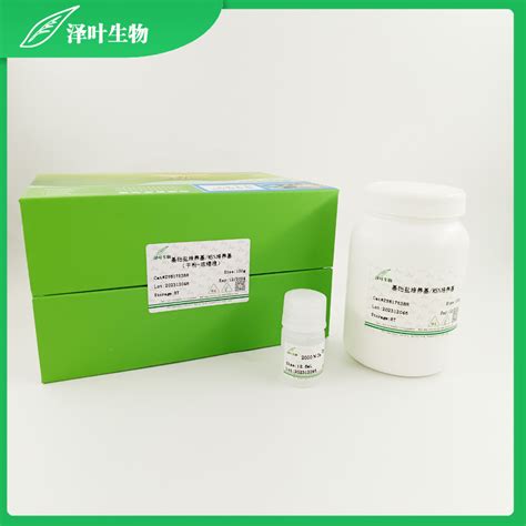 基础盐培养基 Msm培养基（干粉 浓缩液） Zy61753br 泽叶生物 Elisa试剂盒 试剂盒 检测试剂盒 抗体 抗原 重组蛋白 胎牛血清 Atcc细胞 细胞因子 原代细胞 染色液
