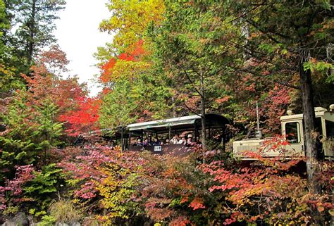 Where To See Autumn Leaves In Nagano Go Nagano Guide Touris Resmi