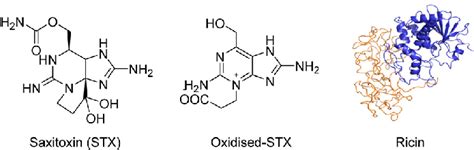 Chemical Structures Of Saxitoxin Oxidized Saxitoxin And Ricin