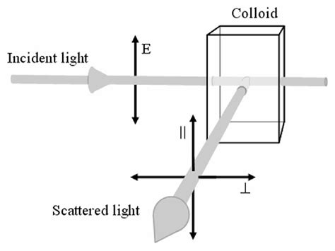Figure 1 From Interference Of Surface Plasmon Resonances Causes Enhanced Depolarized Light