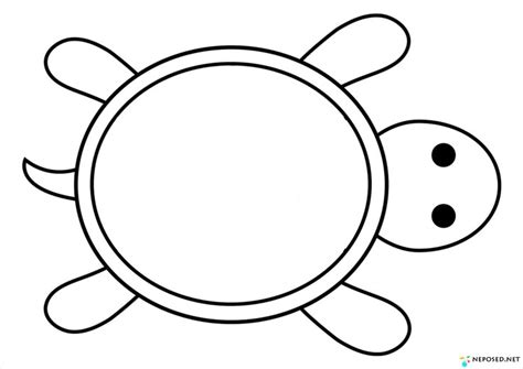 Colorful Cartoon Turtle Coloring Page