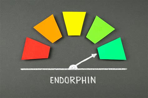 Endorphin Stock Photo - Download Image Now - Abstract, Arrow Symbol ...