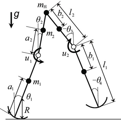 Model Of Planar Kneed Biped Robot With Semicircular Feet Download Scientific Diagram