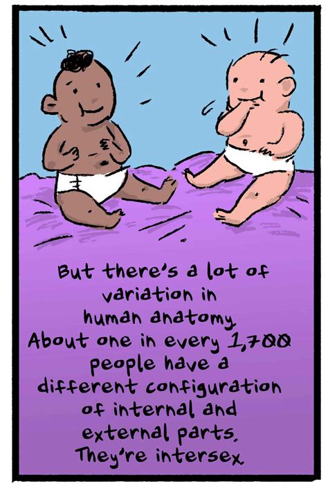 Gender Isnt Binary And Neither Is Anatomy The Nib