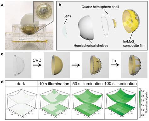 The Fabrication Of A Hemispherical Synaptic Device Array A