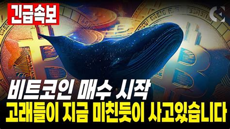 비트코인 전망 비트코인 매수 시작 고래들이 미친듯이 사고 있습니다 비트코인상승 비트코인전망 비트코인분석 미국금리인하 비트코인하락 미국대선 Youtube