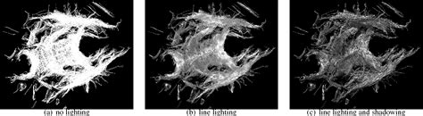 Figure From Visualization Of DTI Fibers Using Hair Rendering Techniques Semantic Scholar
