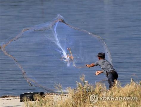 투망으로 물고기 잡아도 될까 2년째 허용한 충북 옥천군 연합뉴스