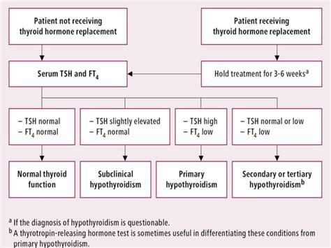 Hypothyroidism Evaluation And Management By Dr Selim Ppt Thyroid Disorders Endocrine And