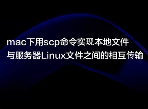 Linux 用scp命令实现本地文件与服务器Linux文件之间的相互传输 VUM星球