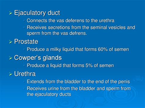 The Human Reproductive System Ppt Download