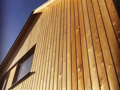Siberian Larch Vertical Cladding Extension Roof Ideas Larch Cladding