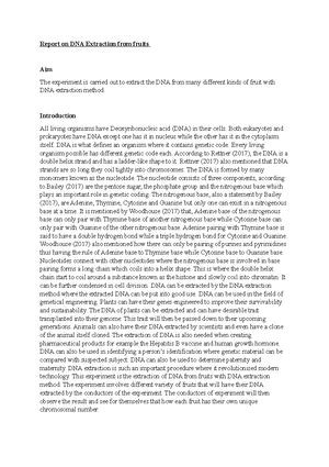 IB Bio Lab Report Banana DNA Extraction Lab Report Banana DNA Extraction Background Each