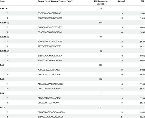 Primer Sequences For Real Time Reverse Transcription Pcr Analysis