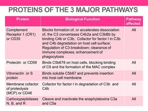 32 Proteins Of The Complement System Ppt