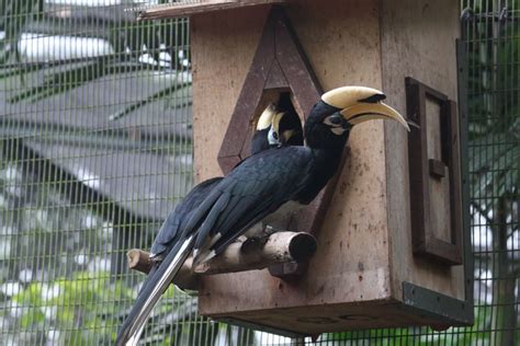 Image361 Michaelstruik