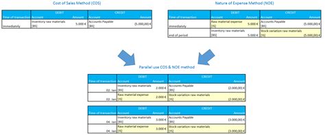 Parallel Accounting According To The “cost Of Sales” And “nature Of