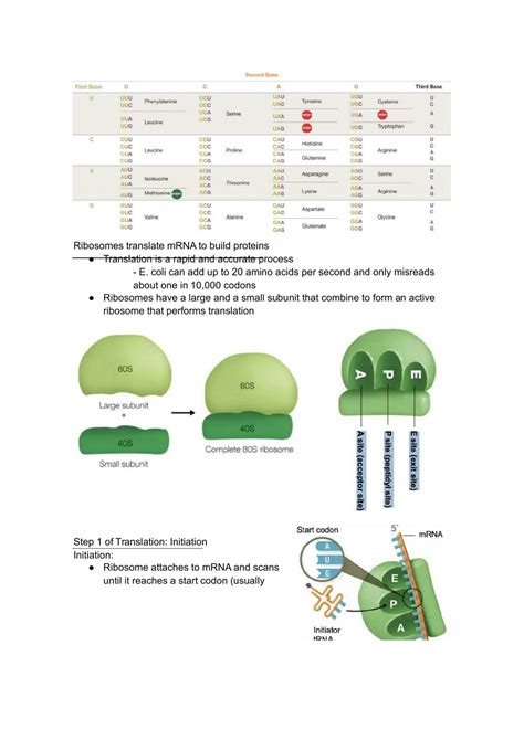 Module 1 Lecture Notes Mic 301 Microbiology For Allied Health