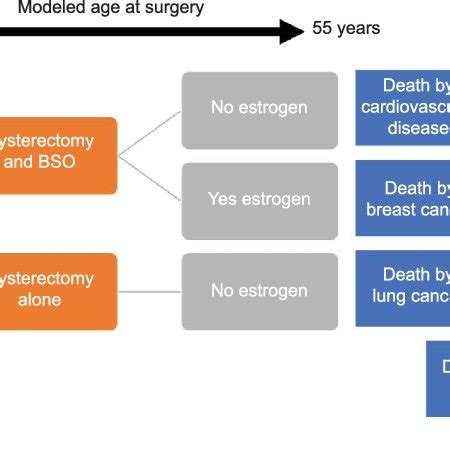 Schematic Of Revised Markov Model This Schematic Demonstrates The Download Scientific Diagram
