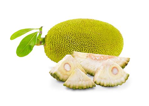Jackfruit Png Image Jackfruit Png Dgai