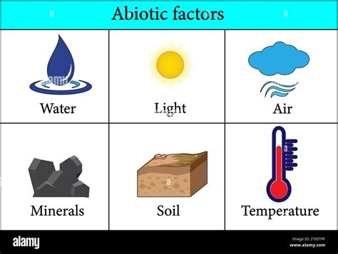 Abiotic Factors Abiotic Teaching Resources