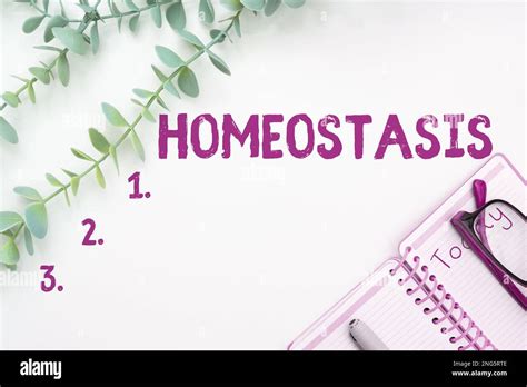 Writing Displaying Text Homeostasis Conceptual Photo The Tendency Toward A Equilibrium Between