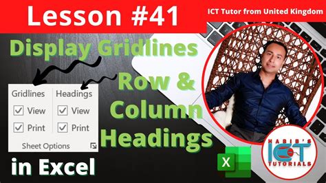 Lesson 41 How To Display And Print Gridlines And Row And Column