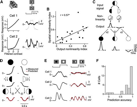 input nonlinearities dominate the nonlinear characteristics of bipolar