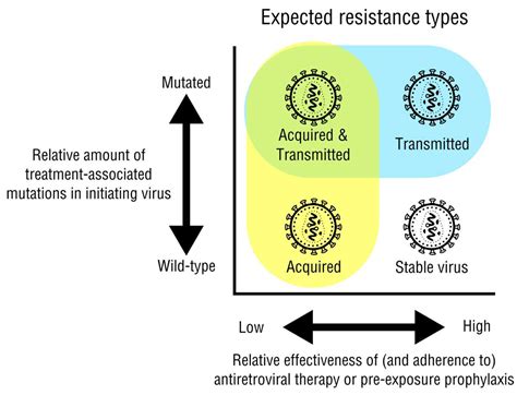 The Secret To Understanding Mutations An Unconventional Approach