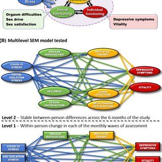 Conceptual And MSEM Models Tested Note Rectangles And Rectangle Download Scientific Diagram