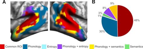 Spatial Overlap In Commonly Activated Vertices Across Model Fits A