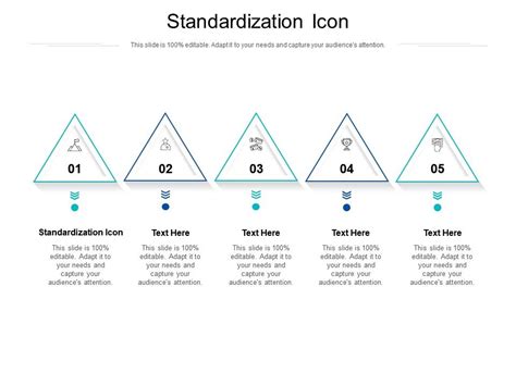 Standardization Icon Ppt Powerpoint Presentation Summary Graphics