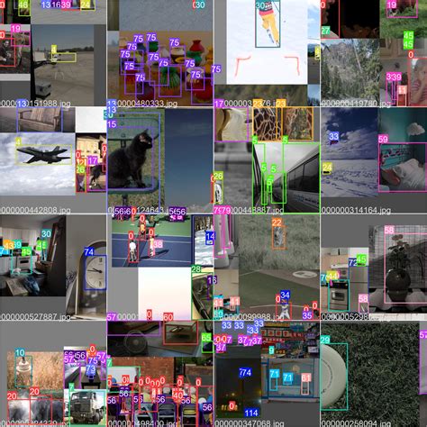 Yolov5v61official Workspace Weights And Biases