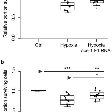 Dapi Stained T Castaneum Primary Neurons Cell Survival Was Analysed Download Scientific