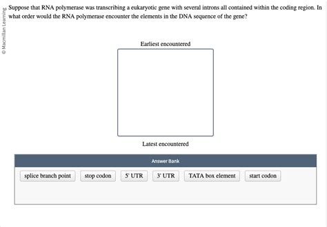 Solved Suppose That Rna Polymerase Was Transcribing A