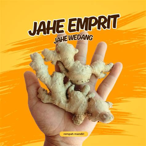 Jual Jahe Emprit Jahe Wedang Segar 1 Kg Shopee Indonesia