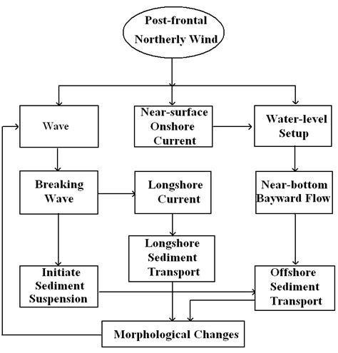 8 A Hypothesized Sequence Of Events Along Beaches Exposed To Download Scientific Diagram