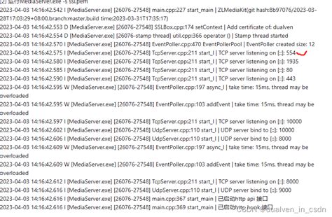 【音视频】zlmediakit总结一zlmediakit的拉流推流测试 Csdn博客