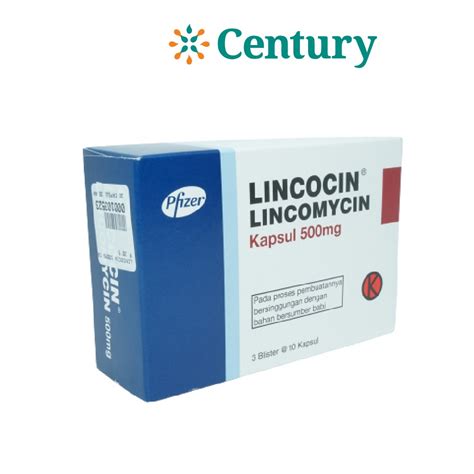 Jual Lincocin 500 Mg 1 Blister Isi 10 Kapsul Lincomycin Antibiotik Infeksi Bakteri