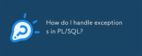 如何處理plsql中的例外？ Oracle Php中文網