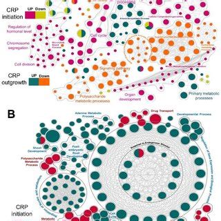 Laser Capture Microdissection RNA Sequencing LCM Seq Analysis Of Download Scientific Diagram