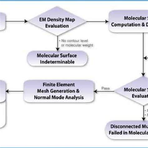 Automated Procedure For Computation Of Conformational Dynamics Using